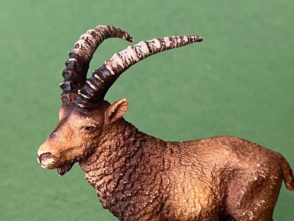 Schleich Steinbock | Kaufen auf Ricardo