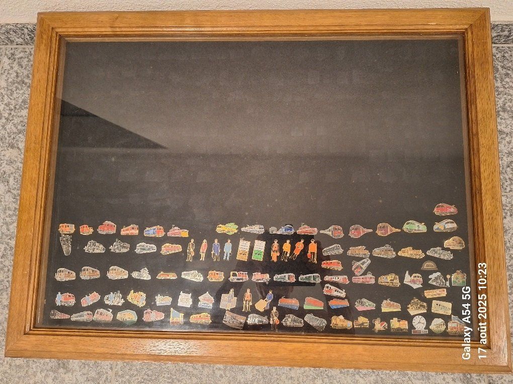 Vitrine avec 75 pins de chemin de fer Schmid - Muller + 18 p (D ...
