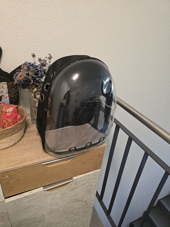 Sac à dos de transport pour petit chat/petit chien (Neuf (Voir ...