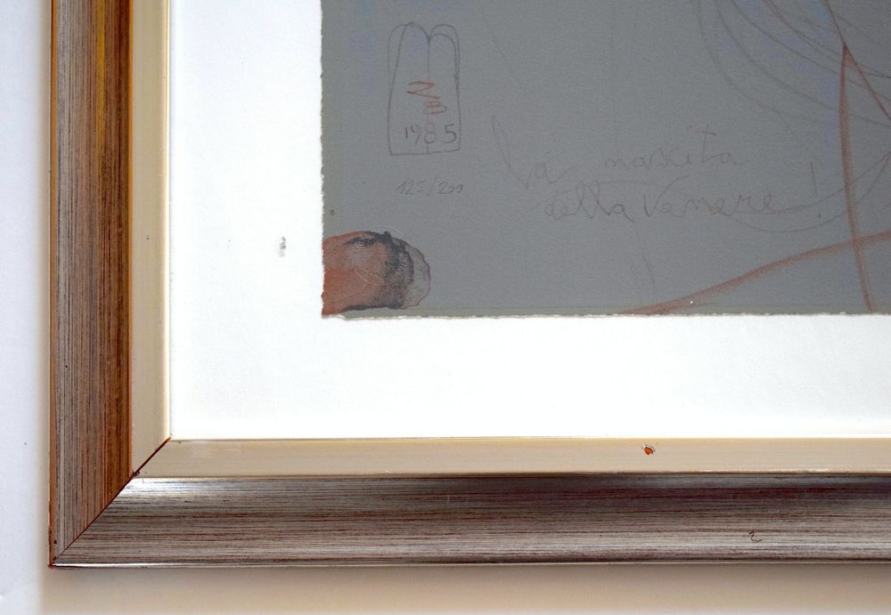 Bruni Bruno Orig. Lithografie Venus Geburt Botticelli Akt (Gebraucht ...