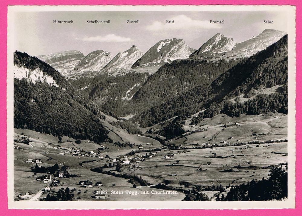 Stein Toggenburg mit Churfirsten | Kaufen auf Ricardo