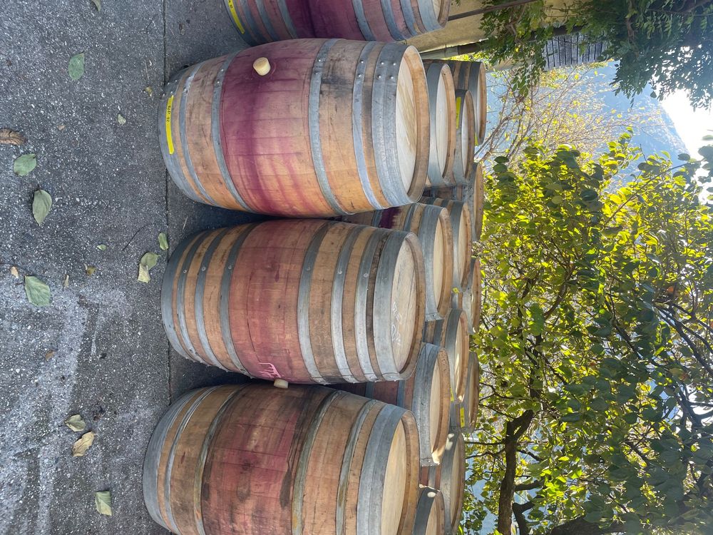 Barrique | Kaufen auf Ricardo