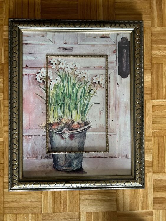 Bild | Kaufen auf Ricardo