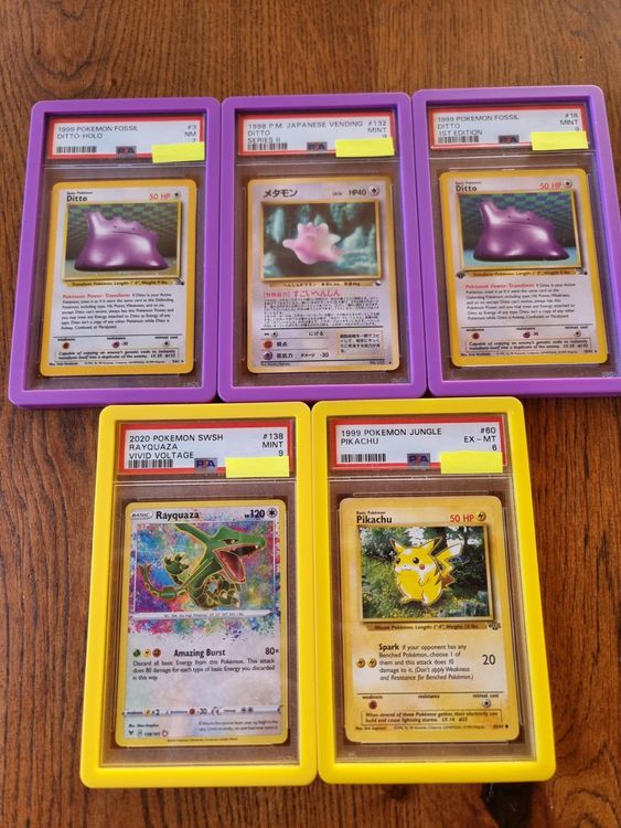 Pokemon – 5x PSA Graded (Ditto, Rayquaza, Pikachu) – PSA 6–9 (Gebraucht ...
