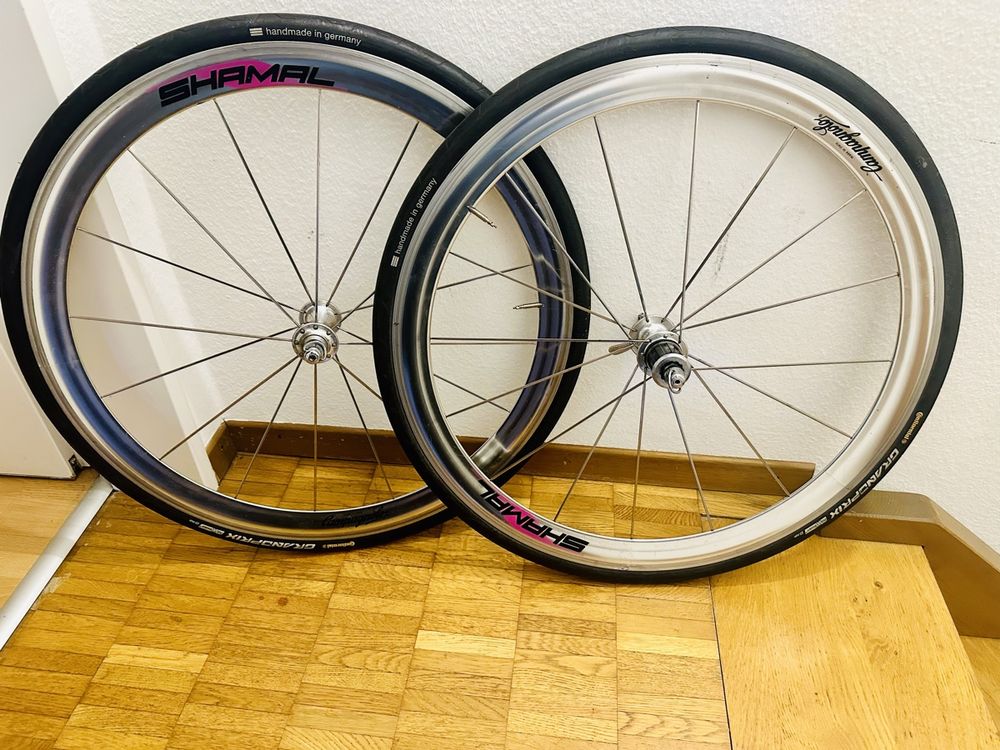 Campagnolo Shamal (Gebraucht) in Brüttisellen für CHF 105 – nur ...