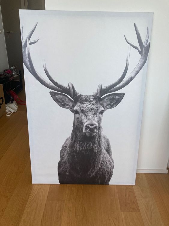 Luxus Ikea Hirsch Bild Leinwand Fotos