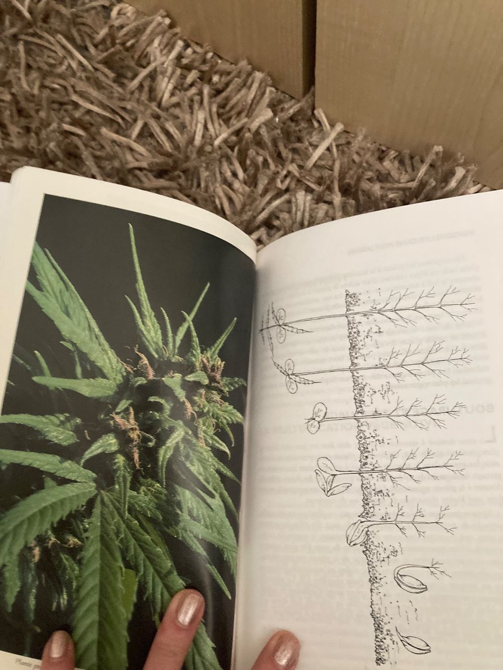 Livre "Du Cannabis Dans Mon Jardin" 🌿 (D'occasion) à Morges pour CHF 3 ...