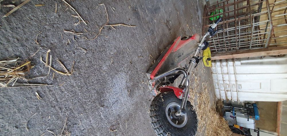 Elektro trottinet | Kaufen auf Ricardo