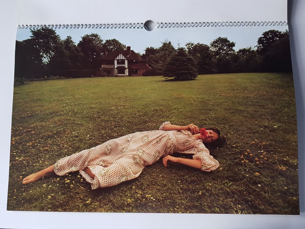 Calendrier Ciba-Geigy 1974, en très bon état. | Kaufen auf Ricardo