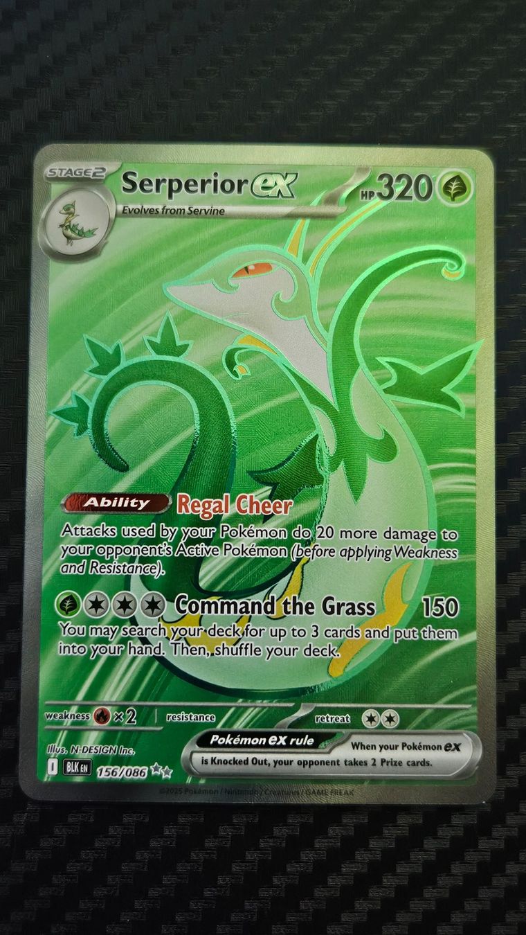 Pokemon Serperior ex 156/086 Black Bolt EN (Neuf (Voir description)) à ...