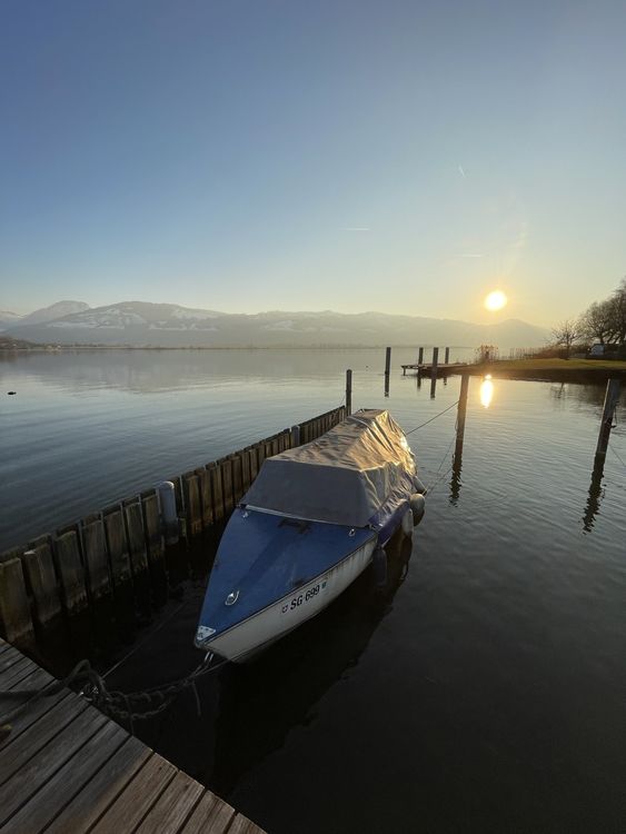 Fischerboot, Hartmann, 6PS (Gebraucht) in für CHF 515 – nur Abholung ...