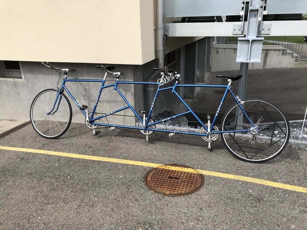 Tridem (Tandem für 3) !! (Gebraucht) in Gebenstorf für CHF 333 – nur ...