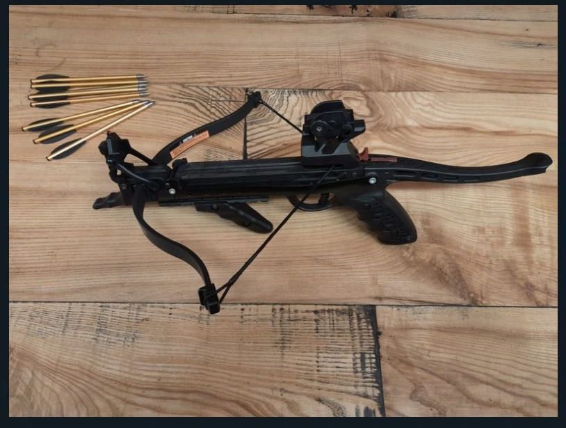 Hori-Zone Redback XR Recurve Armbrust (Neu (gemäss Beschreibung)) in ...