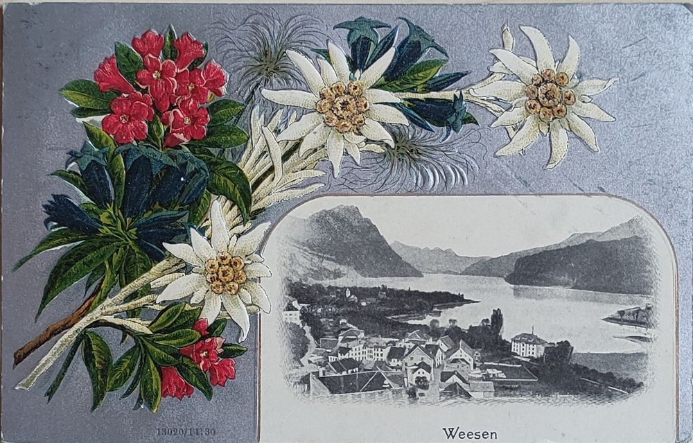 Alte Ansichtskarte Weesen, gelaufen 1913, Blumen, Stickerei (Gebraucht) in Siebnen für CHF 6.9 ...