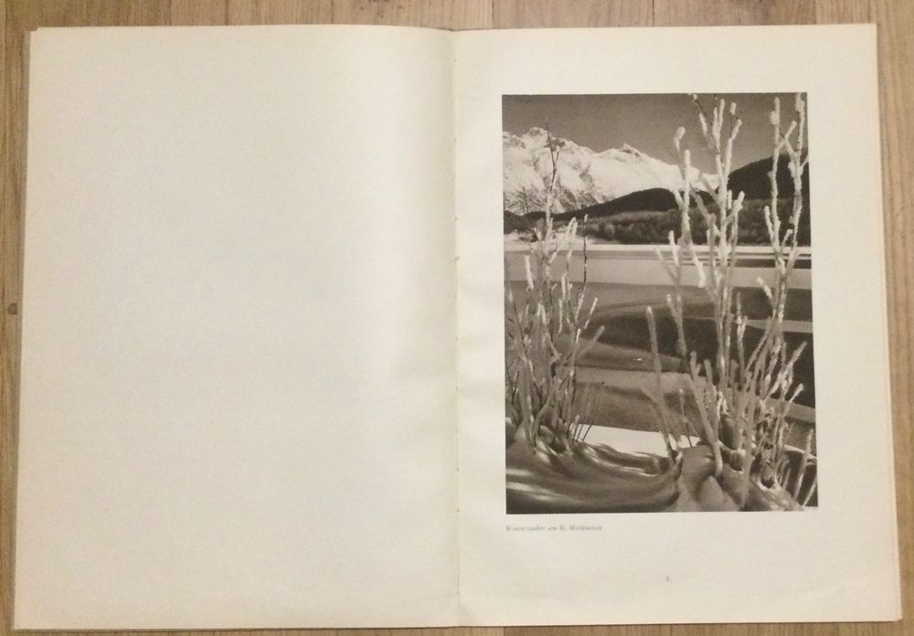 Albert STEINER (1877-1965) Engadiner Landschaften Buch (Gebraucht) in Root für CHF 85 – mit ...