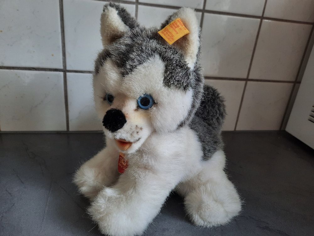 CHIEN PUMMY de STEIFF, avec étiquette (Gebraucht) in Le Locle für CHF 2 ...