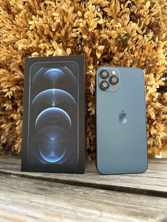 iPhone 12 Pro Pacific Blue 256GB (Gebraucht) in Thun für CHF 600 – mit ...