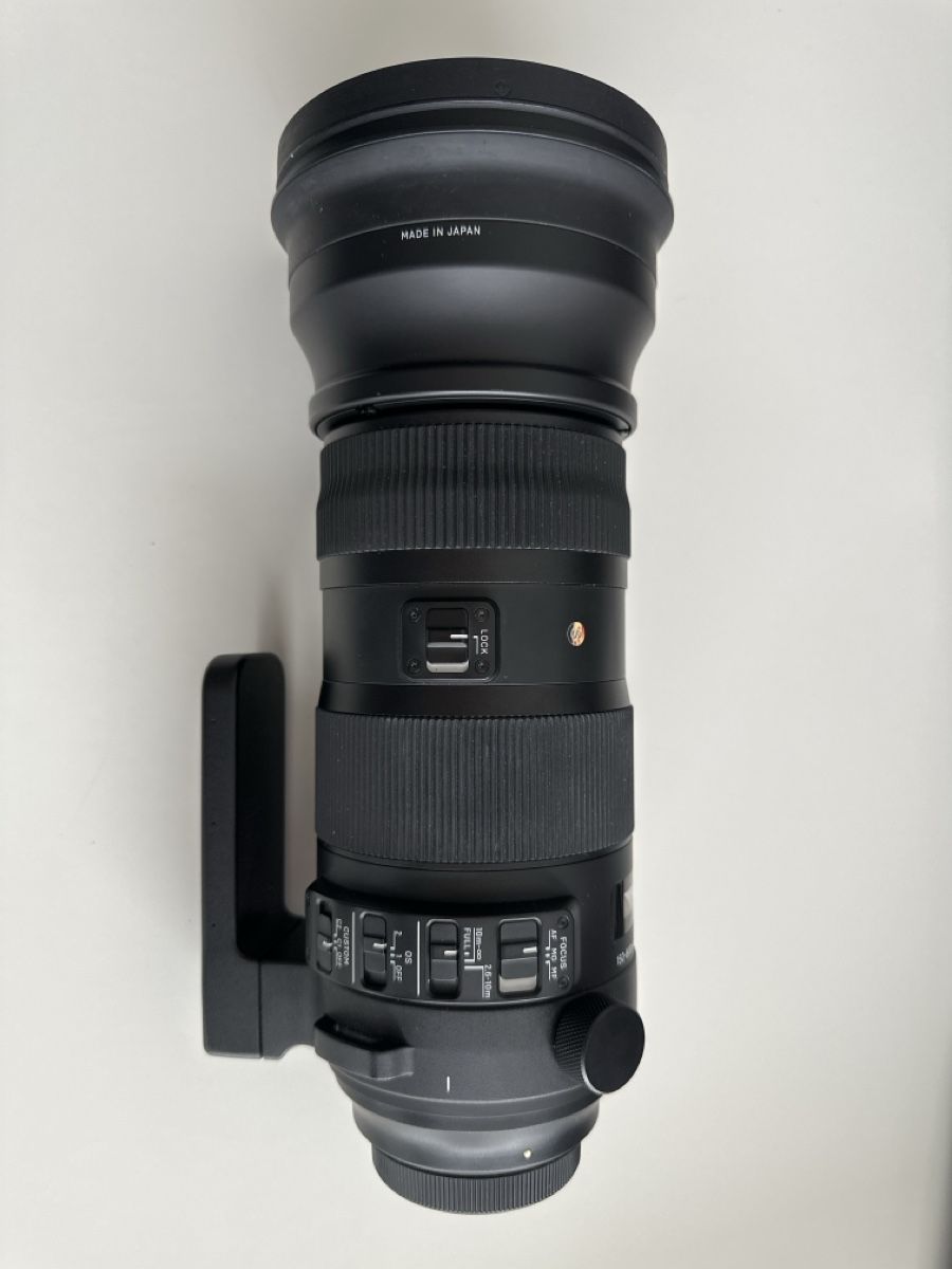Sigma Super-Tele 150-600mm Sports für Canon EF (Gebraucht) in Fällanden ...