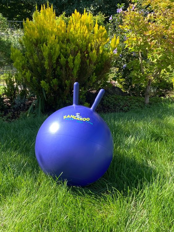 Hüpfball (Gebraucht) in für CHF 2 – mit Lieferung auf Ricardo kaufen