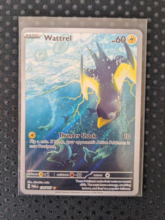 Pokémon Twilight Masquerade - Wattrel 178/167 ( EN ) (Neu (gemäss ...
