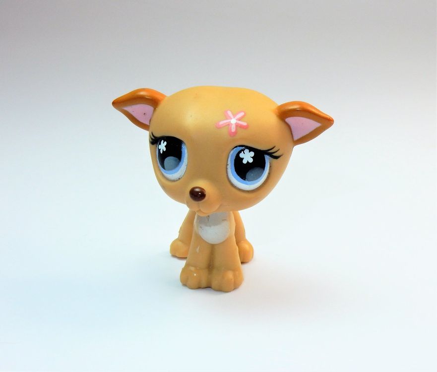 LPS - Littlest Pet Shop - Windhund - Nr. 498 - 2007 - Hasbro | Kaufen ...