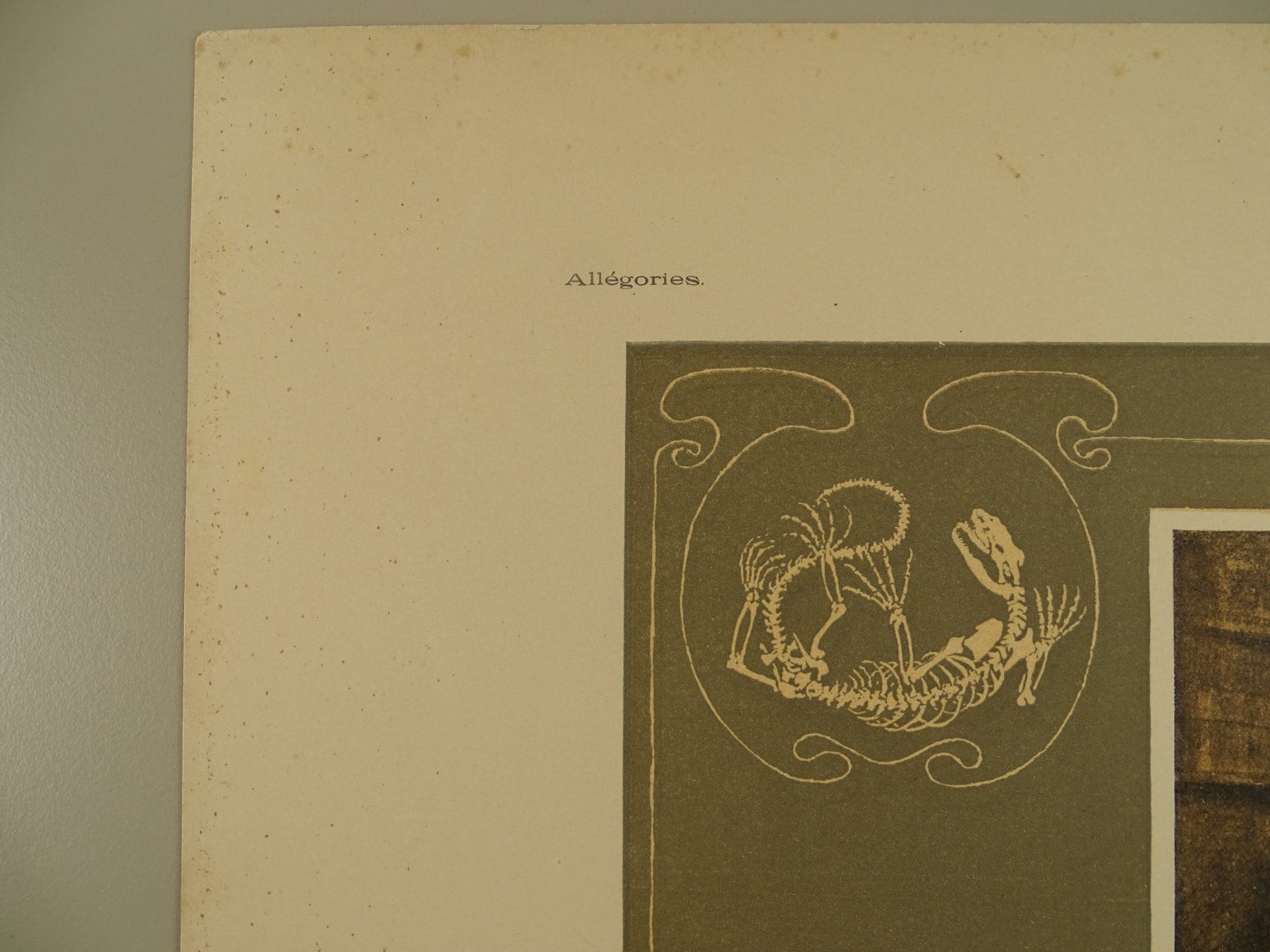 JOSEF ENGELHART: ANATOMIE, JUGENDSTIL, GERLACH’S ALLEGORIEN (Gebraucht) in Grüningen für CHF 128 ...