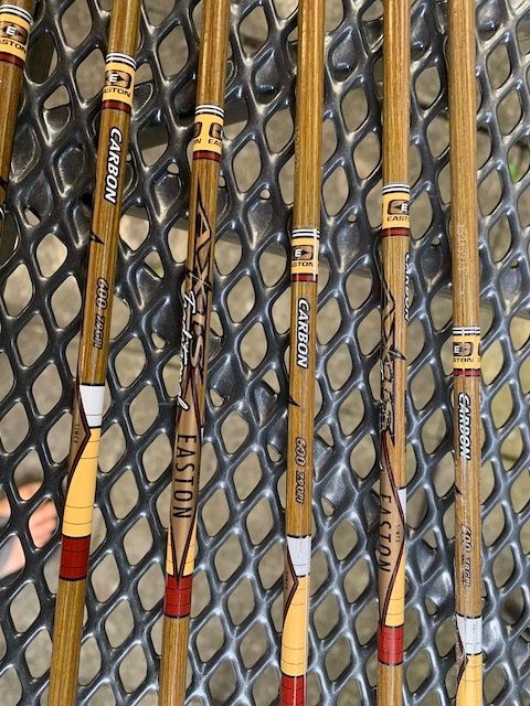 Pfeile Easton Axis Traditional 600 | Kaufen auf Ricardo