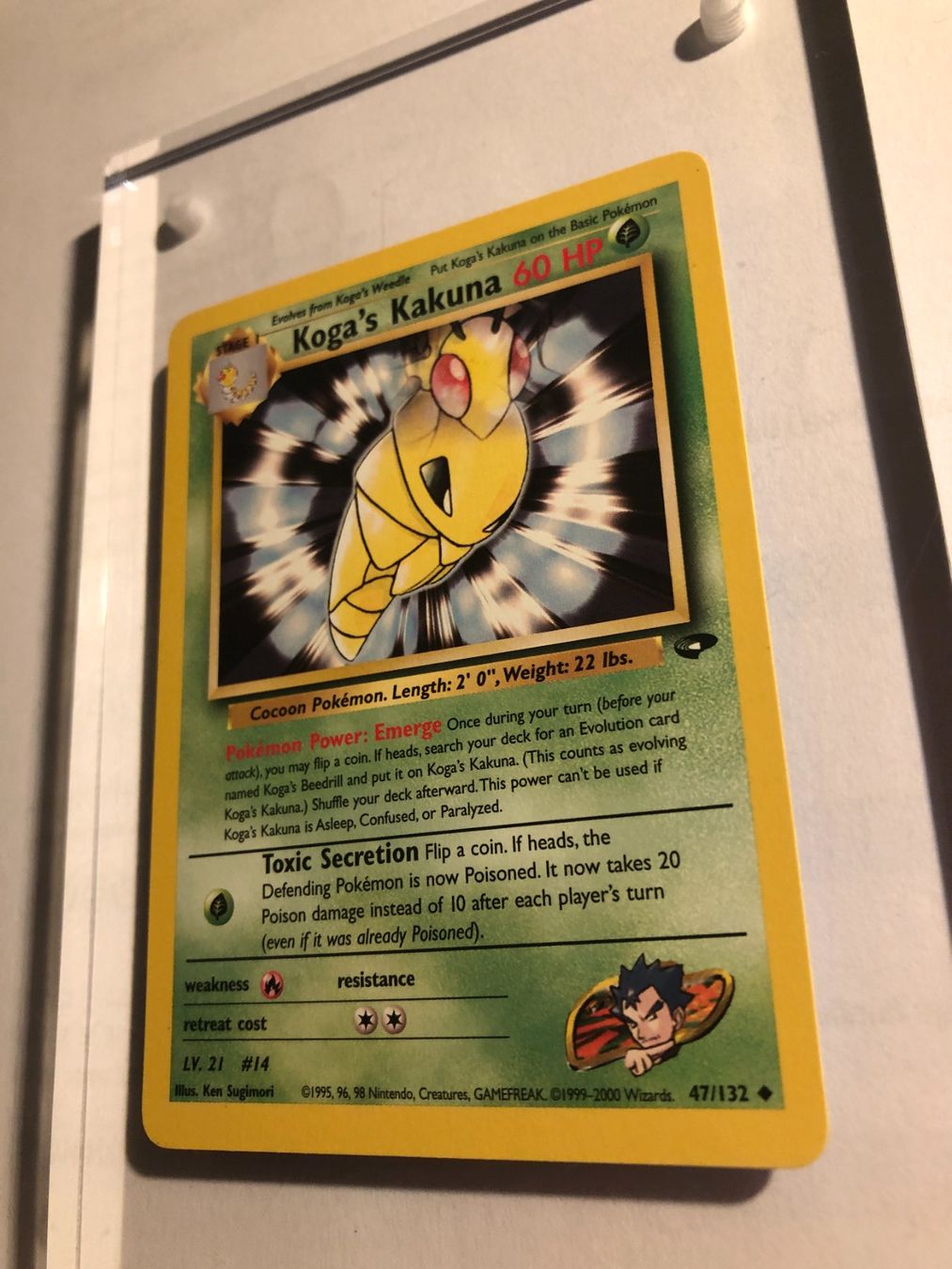 Koga's Kakuna (unc.) Gym Challenge - MINT - ab 1.- (Usato) a Giubiasco ...