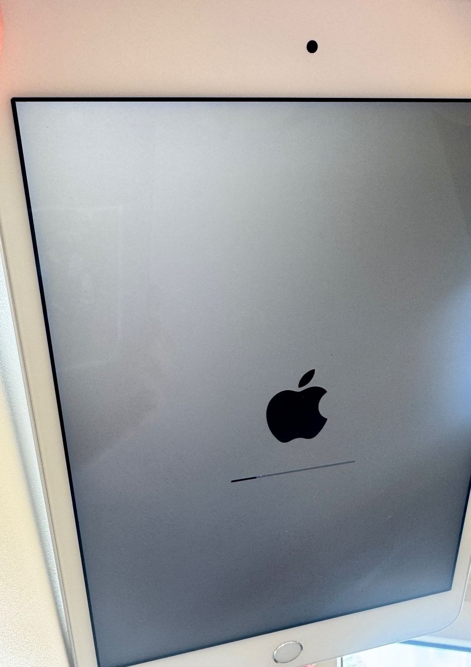 iPad mini 4 128GB Silver WiFi+Cellular Top Zustand (Gebraucht) in ...