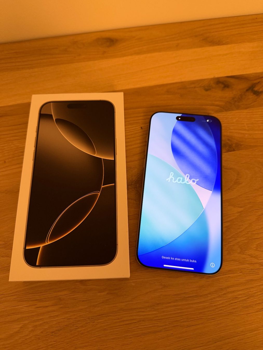 Iphone 16 Pro Max Gebraucht