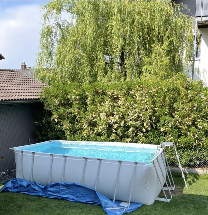 Aquarius Pool 450x220x122cm mit Pumpe und Leiter (D'occasion) à Bern ...