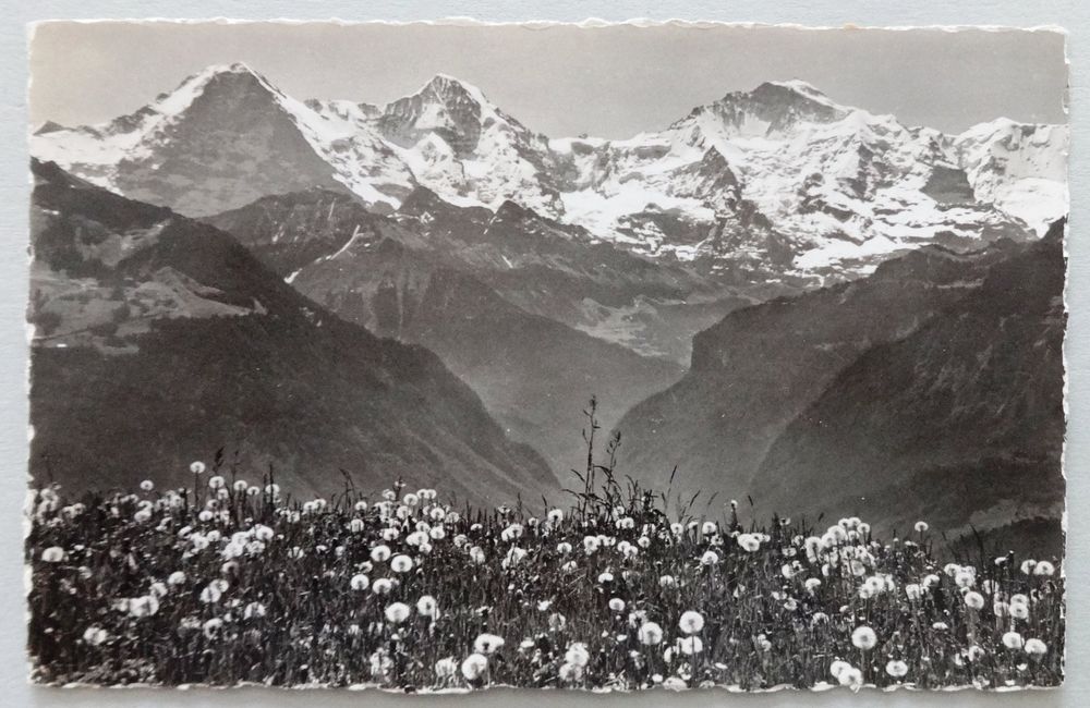 Interlaken - Eiger, Mönch u. Jungfrau (Gebraucht) in Fétigny für CHF 1 ...