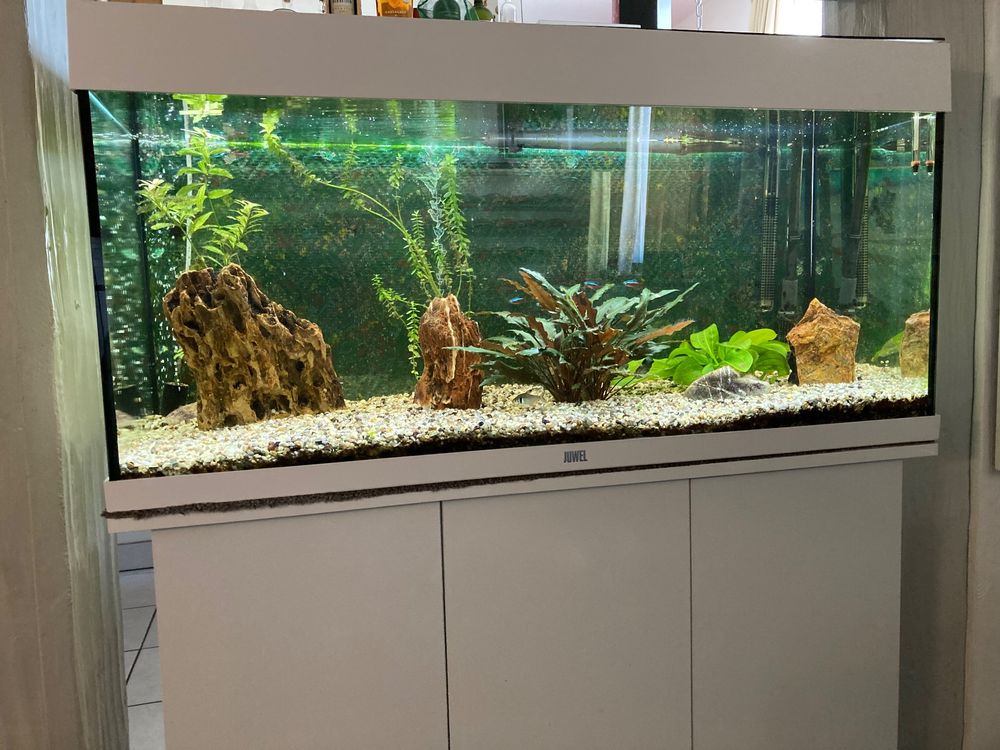 Aquarium Juwel 180 Liter | Kaufen auf Ricardo