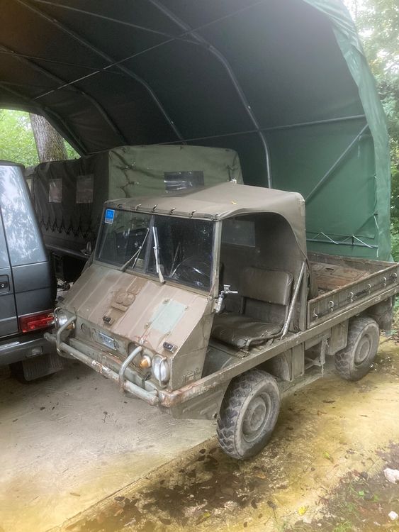Vendo Steyr Puch Haflinger (Gebraucht) in Ligornetto für CHF 9999 – nur Abholung auf Ricardo kaufen