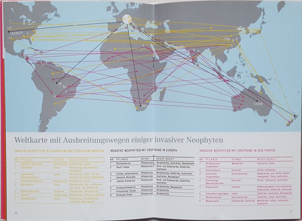 Problem der invasiven Neophyten (Botanischer Garten Bern) (Gebraucht ...