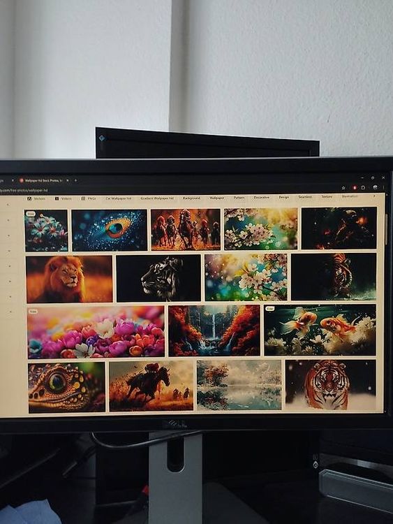 Écran (moniteur) 22' DELL P2214HB (D'occasion) à Lausanne pour CHF 15 ...