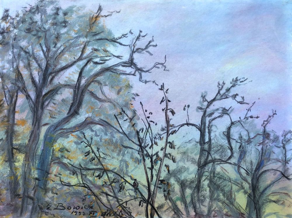 Erwin Johannes Bowien Orig Pastell Gemä. (Gebraucht) in Hochdorf für ...