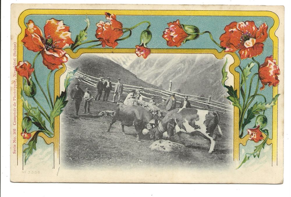 Landwirtschaft - Kuh-Kampf - Passepartout-Litho um 1900 VS ? (Gebraucht) in Engelburg für CHF 19 ...