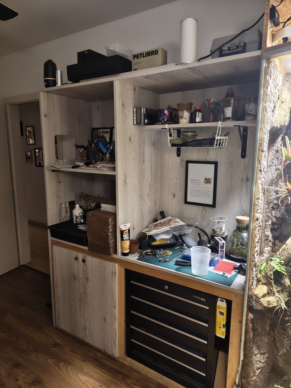 OFFRE LIMITÉE (15.03.26) Meuble unique aquarium et terrarium (Neu ...