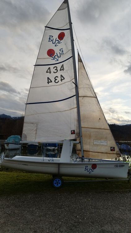 Segelboot Topper Buzz (Gebraucht) in Gommiswald für CHF 1000 – nur ...