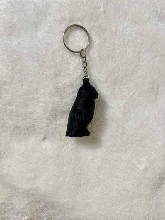 Cool Black Meowl Keychain - Gift Idea 🦉🔑 (Neu (gemäss Beschreibung)) in ...