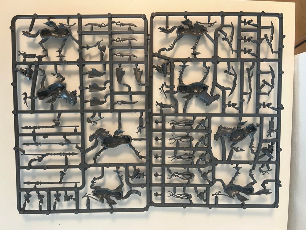 Warhammer Age of Sigmar Doomfire Warlocks/Dark Riders sprues | Kaufen ...