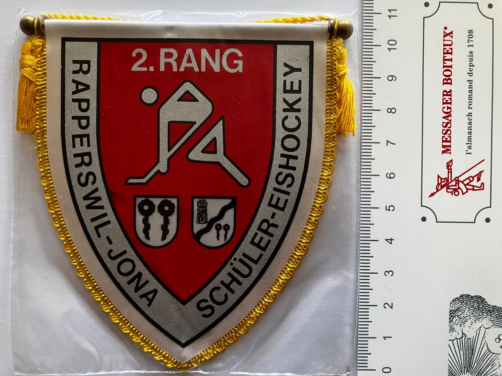 Vintage Fanion/Wimpel EHC RAPPERSWIL-JONA SCHÜLER 2. RANG (Neu und ...