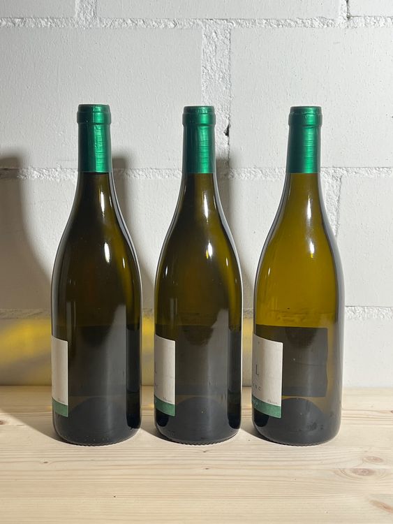RedChristmas -50% – 2005 Fläscher Sauvignon Blanc Marugg 1FL (Neu ...