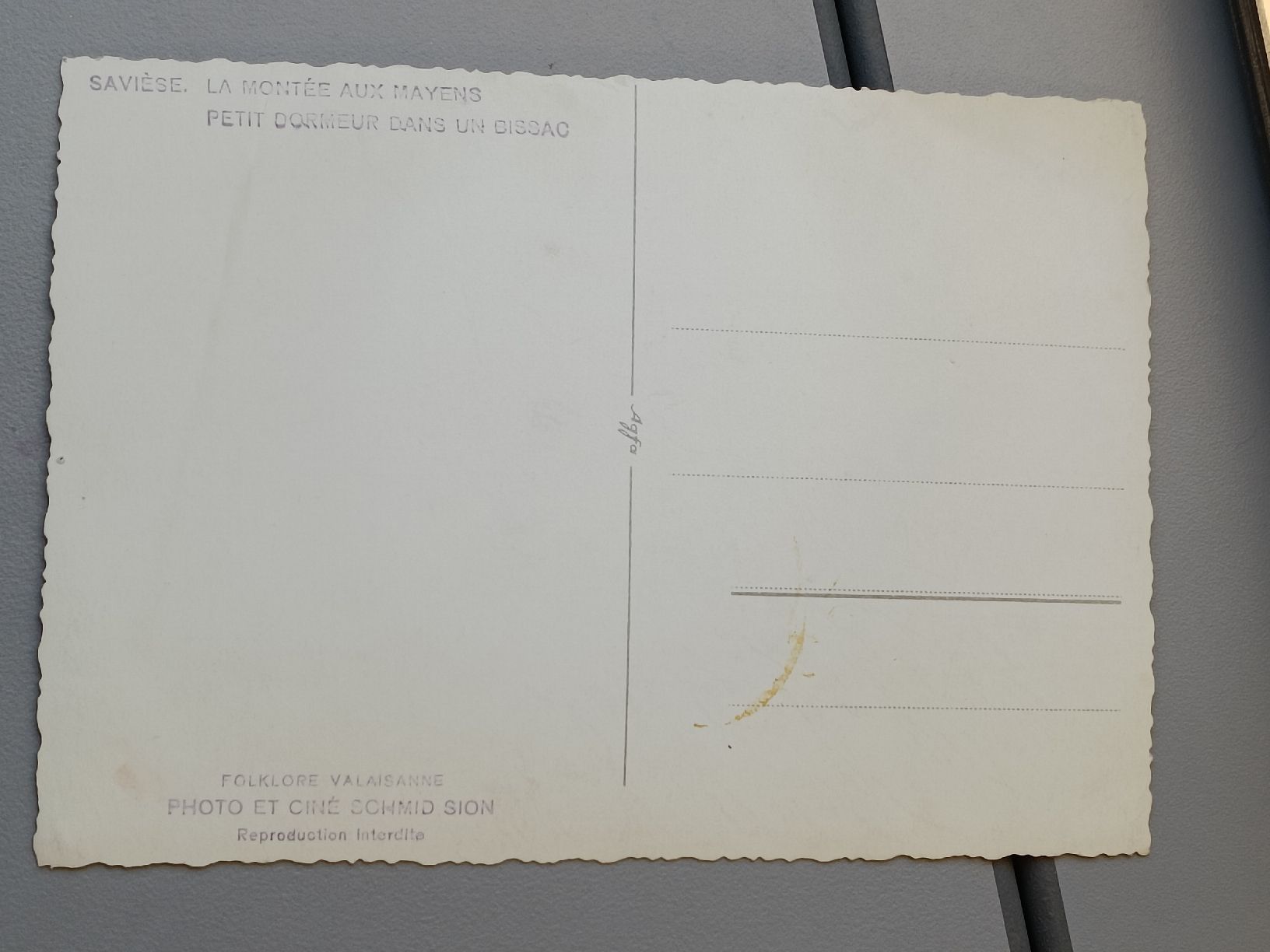 Echt Photo Karte / Saviese - La Montee Aux Mayens ca. 1930 (Gebraucht ...