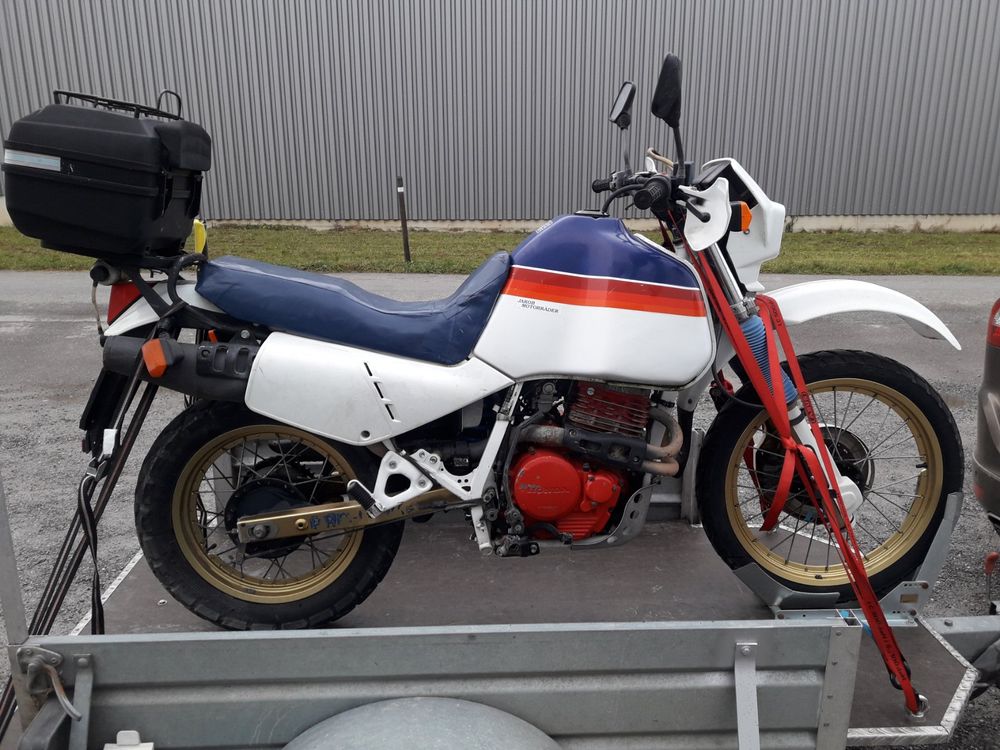 Honda XL 600 LM | Kaufen auf Ricardo