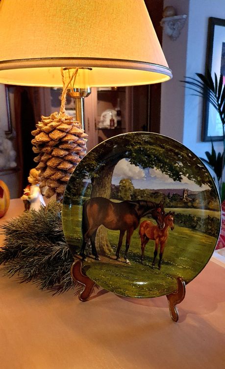 Sammelteller (Neu (gemäss Beschreibung)) in Benken SG für CHF 5 – mit Lieferung auf Ricardo kaufen