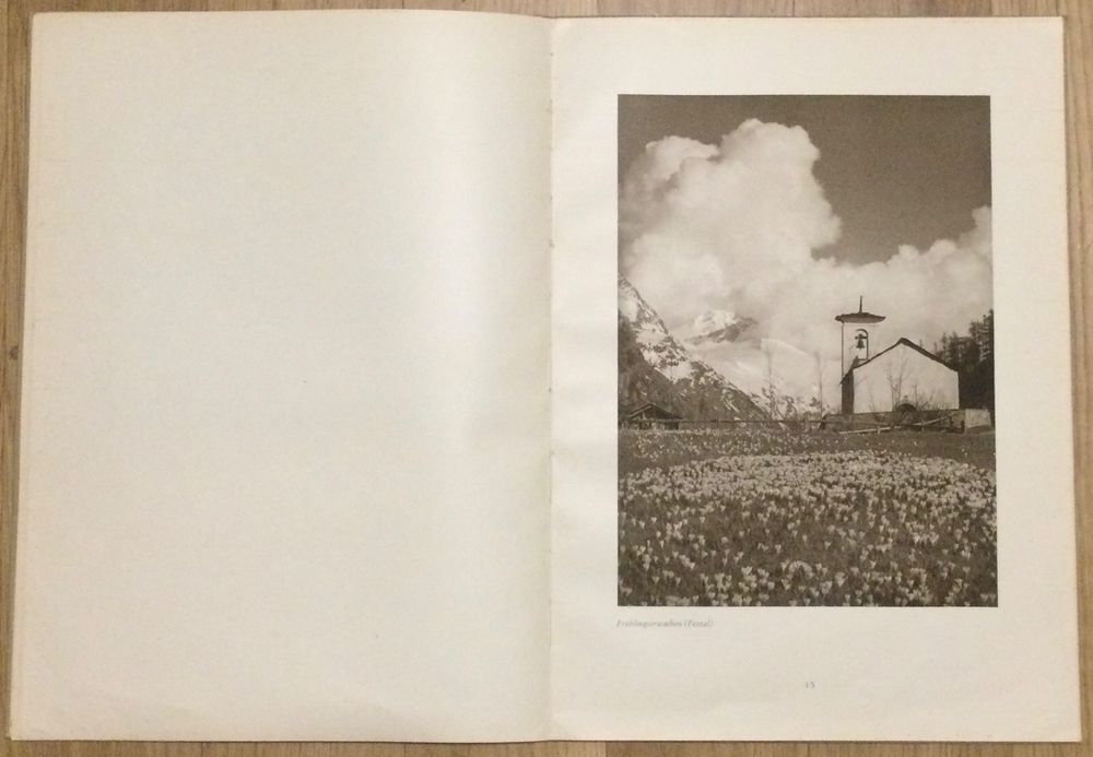 Albert STEINER (1877-1965) Engadiner Landschaften Buch (Gebraucht) in Root für CHF 85 – mit ...