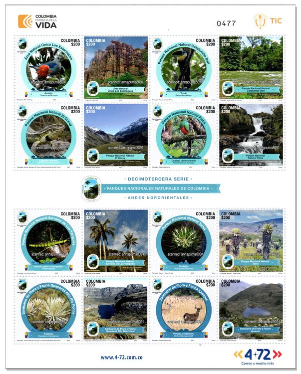 Kolumbien 2023 Nationalpark Vögel fauna Berge Pflanzen (B33) (Neu ...