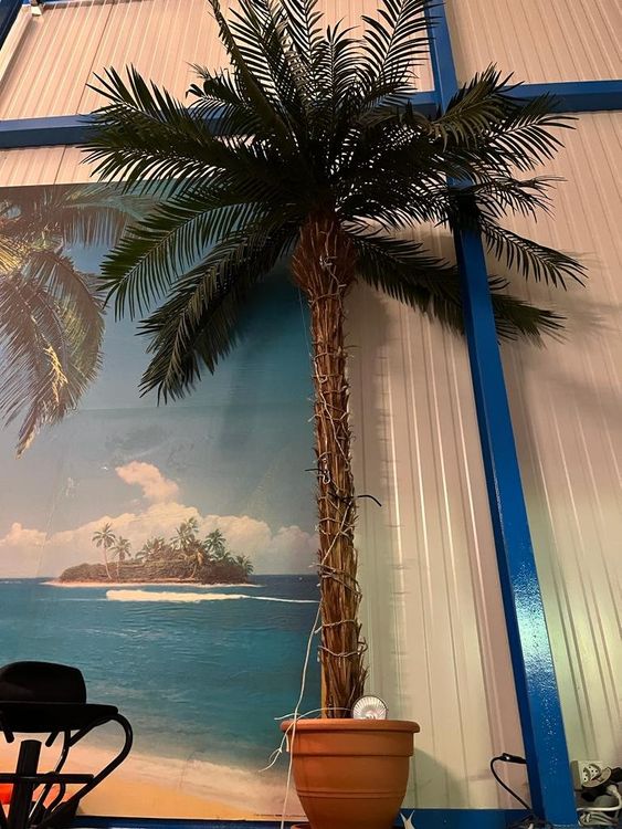 grosse Plastik-Palme | Kaufen auf Ricardo